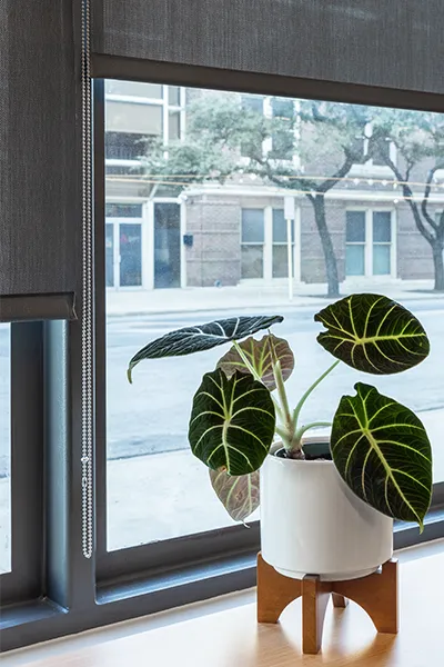 Child Safety in Window Coverings :: Draper, Inc.